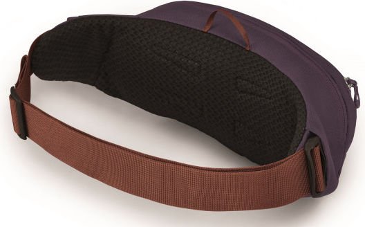 Saszetka, nerka Daylite Waist 2L Osprey - axo green/enchantment purple