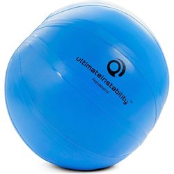Aquabag Sloshball S Ultimateinstability - Sport-Shop.pl